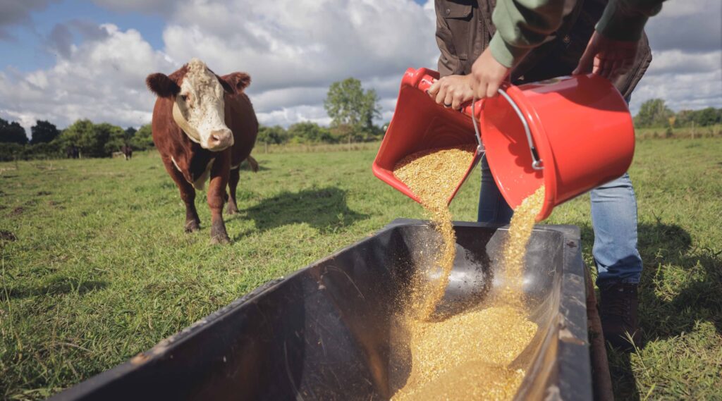 Animal Feed + Farm Supplies | Our Products | T+S Crop Service, Inc.