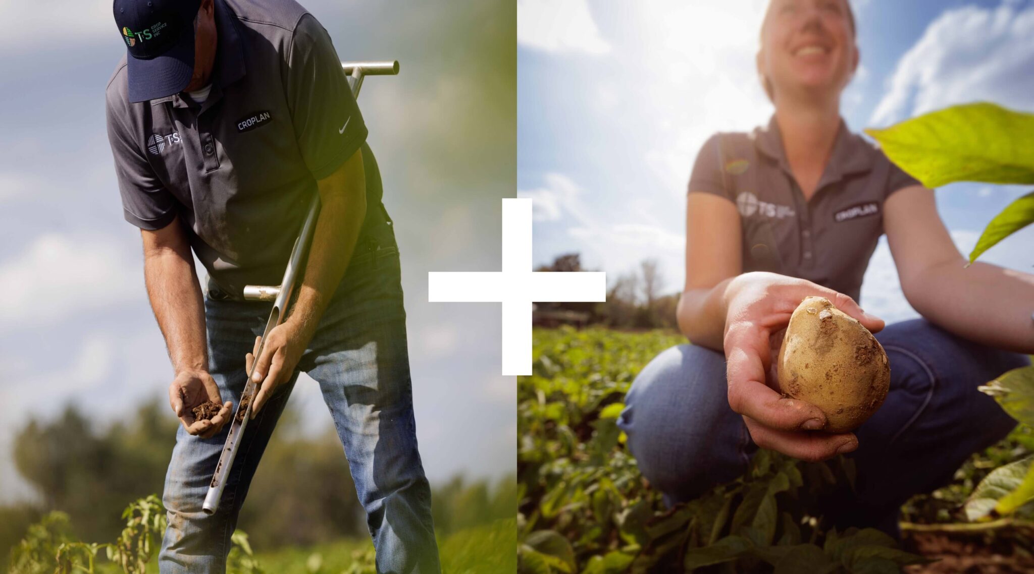 Crop Sciences | Our Services | T+S Crop Service, Inc.