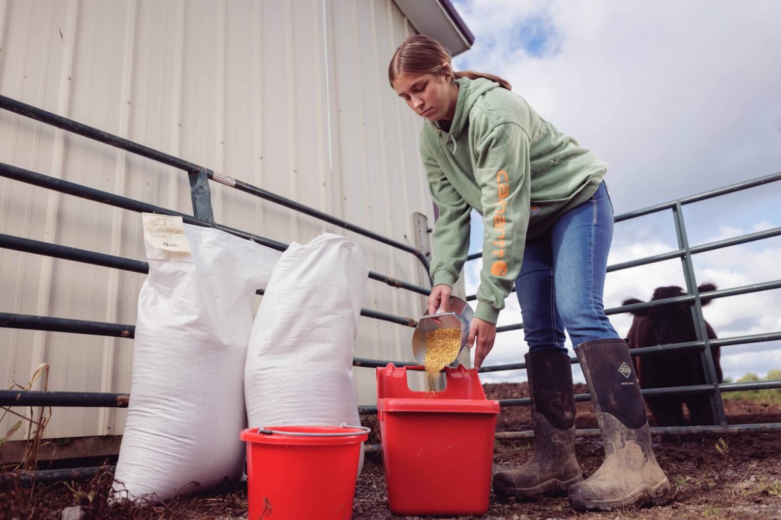 T+S Crop Service, Inc. | Advanced Agronomy Solutions